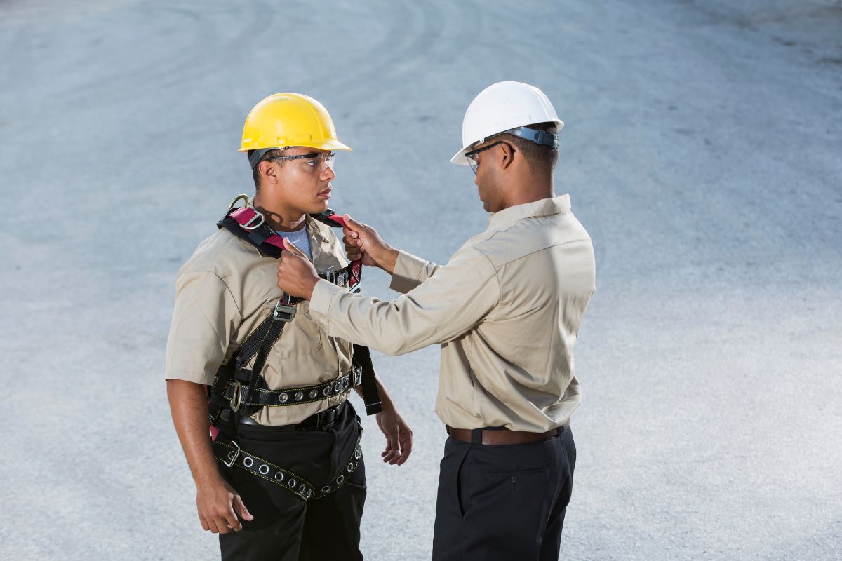 From Rookie To Pro: A Beginner's Guide To Choosing The Right Safety Harness