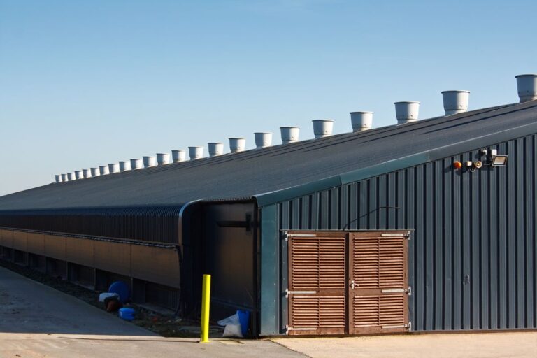 How To Choose The Best Roofing System For Your Commercial Building