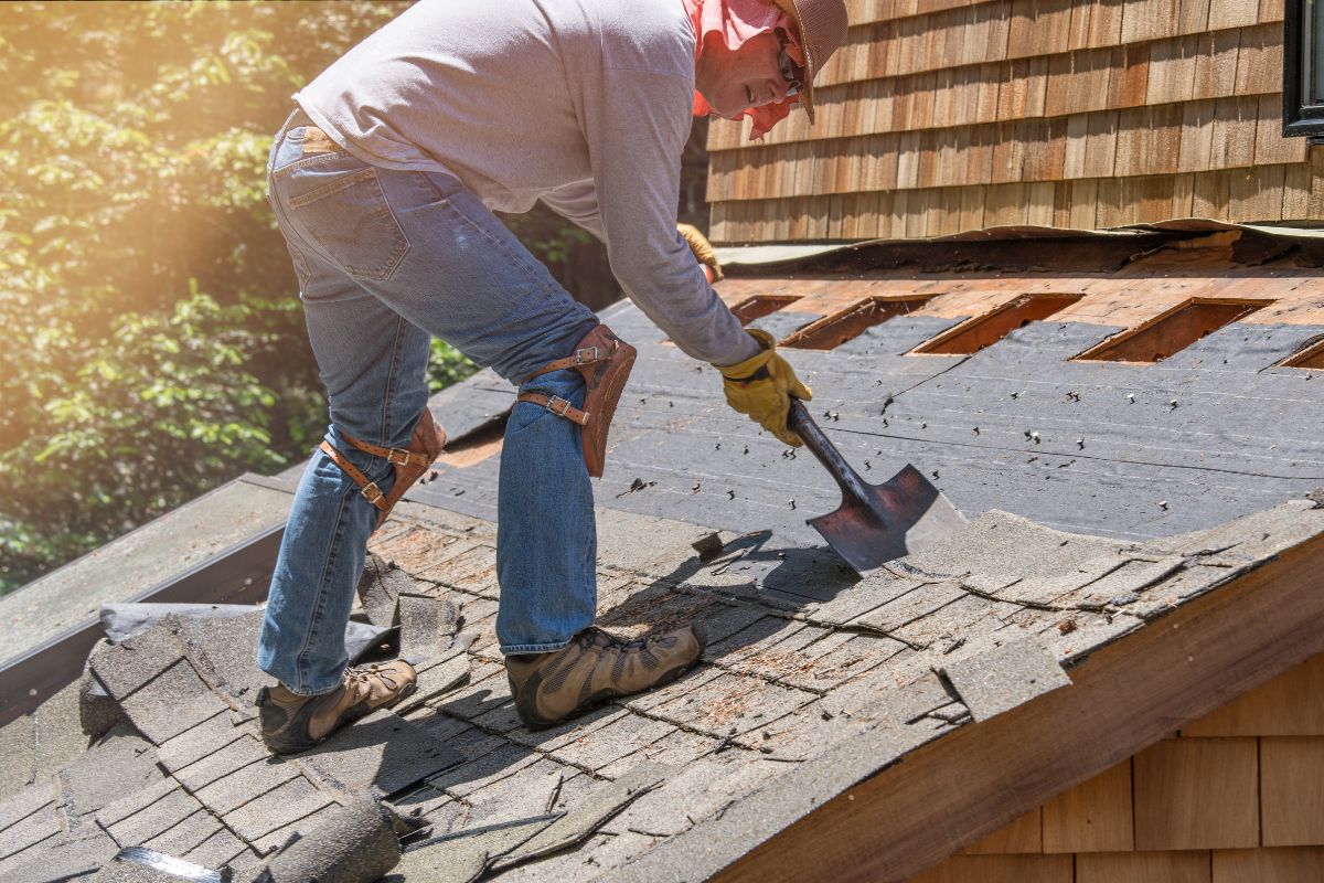 Understanding The Re-roofing Process: What Every Homeowner Should Know